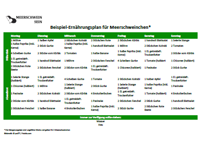 ☘ Meerschweinchen Ernährung: Was soll ich füttern? | Meerschwein sein